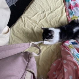 Walk for autism - Grace gorman